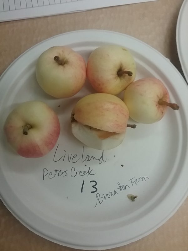 13 – Alaska Pioneer Fruit Growers Association