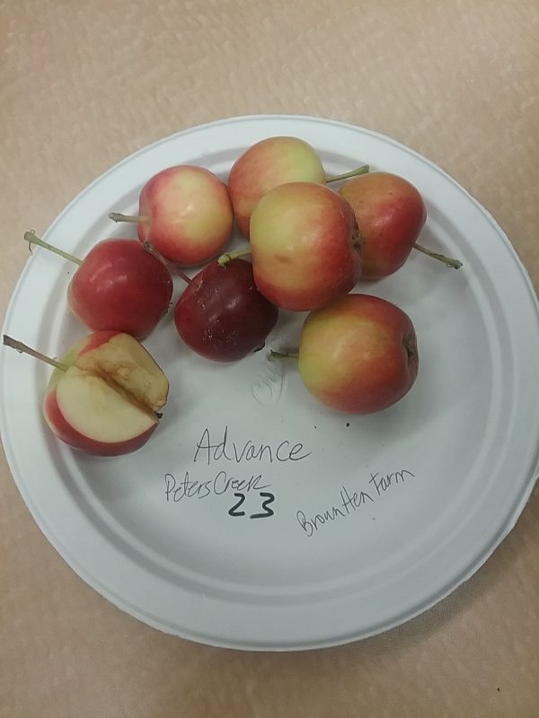 23 – Alaska Pioneer Fruit Growers Association