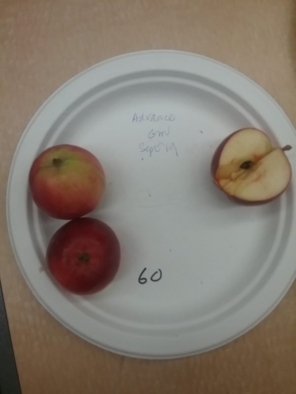 60 – Alaska Pioneer Fruit Growers Association