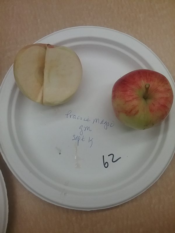 62 – Alaska Pioneer Fruit Growers Association