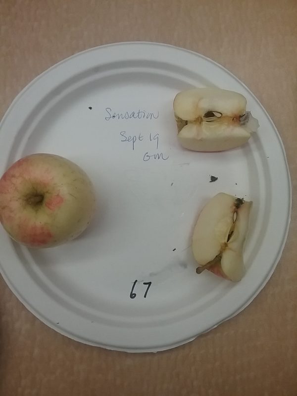 67 – Alaska Pioneer Fruit Growers Association