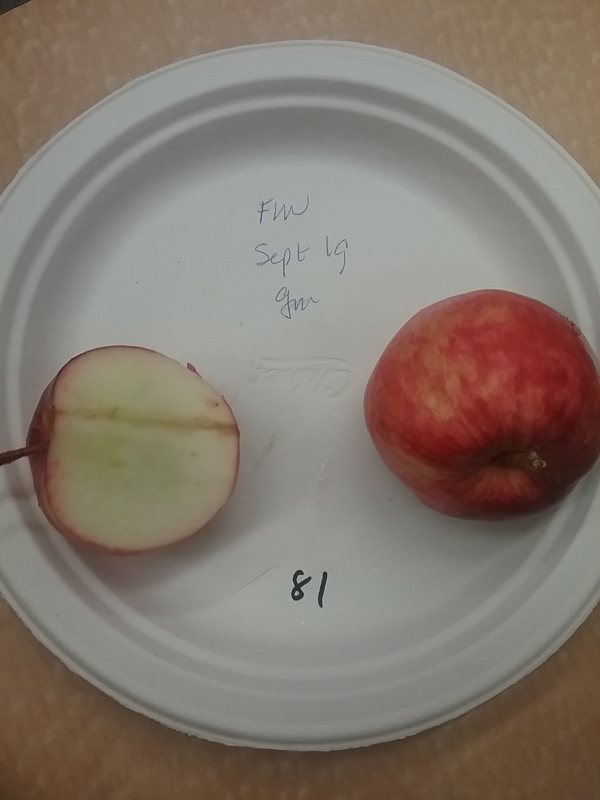 81 – Alaska Pioneer Fruit Growers Association